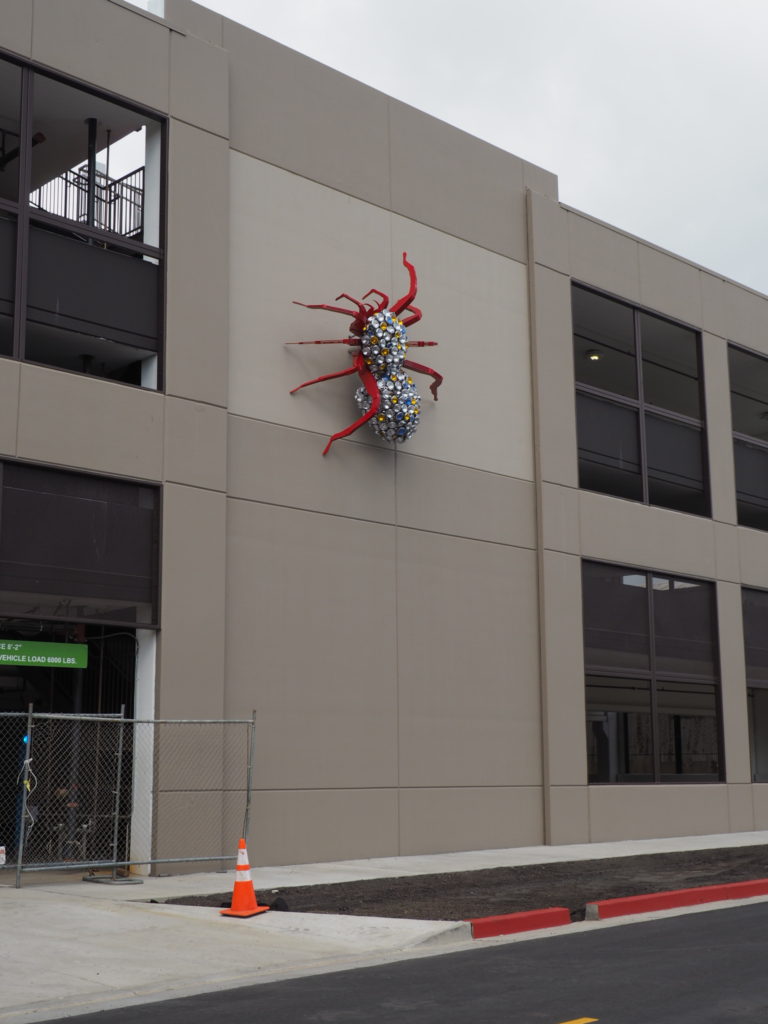 SpiderHugger - Backyard Arachnology