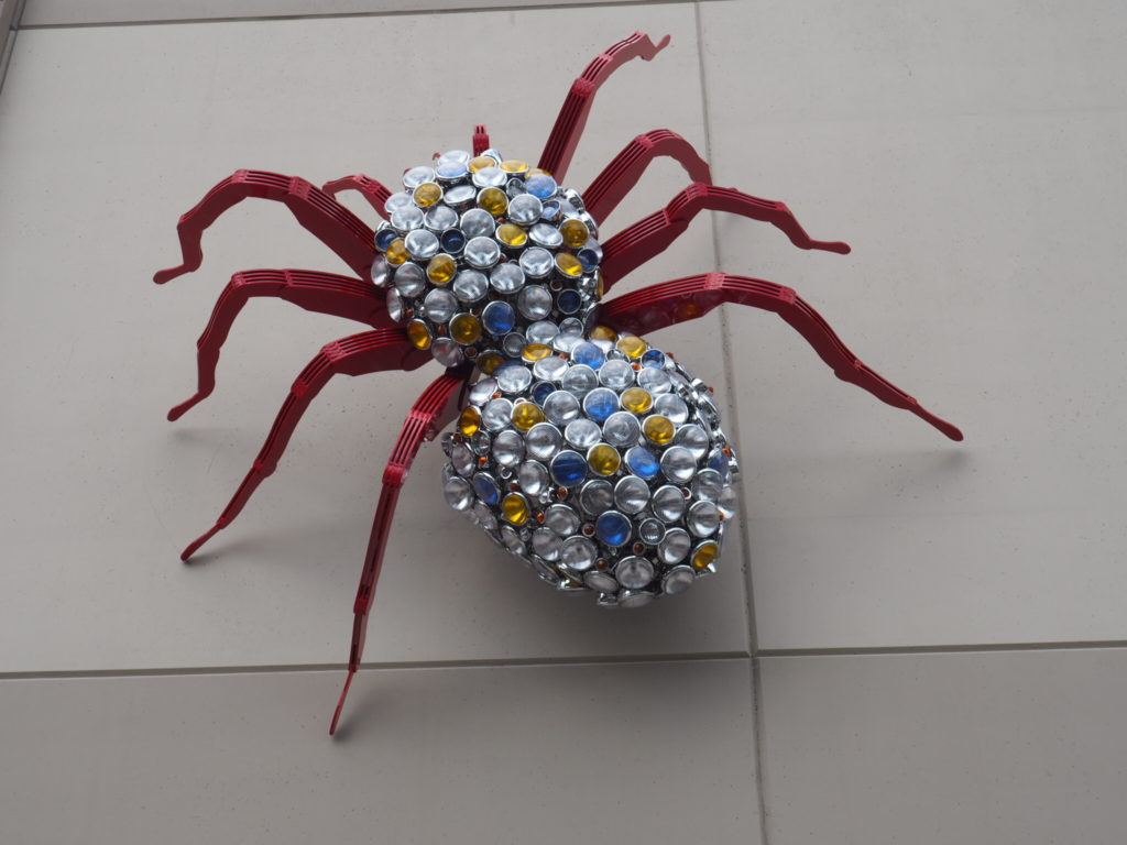 SpiderHugger - Backyard Arachnology